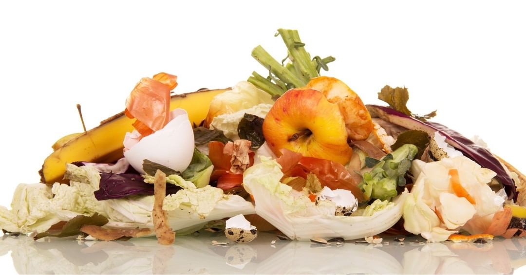 What To Do With Leftover Thanksgiving Food? - Parriva