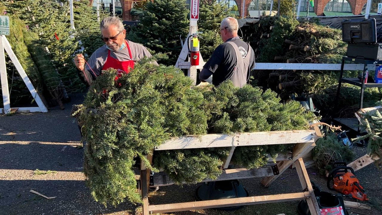How To Recycle Your Christmas Tree: Simple Tips For A Sustainable ...