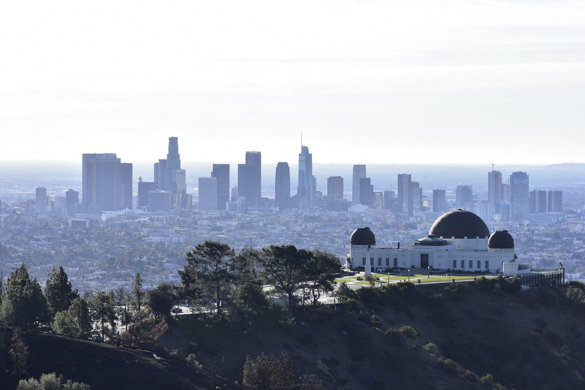 Los Angeles Ranked Nation's Smoggiest City - Parriva