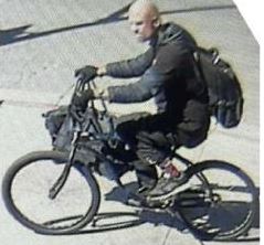 Los Angeles Police Arrest Suspected Tree Cutter - Parriva