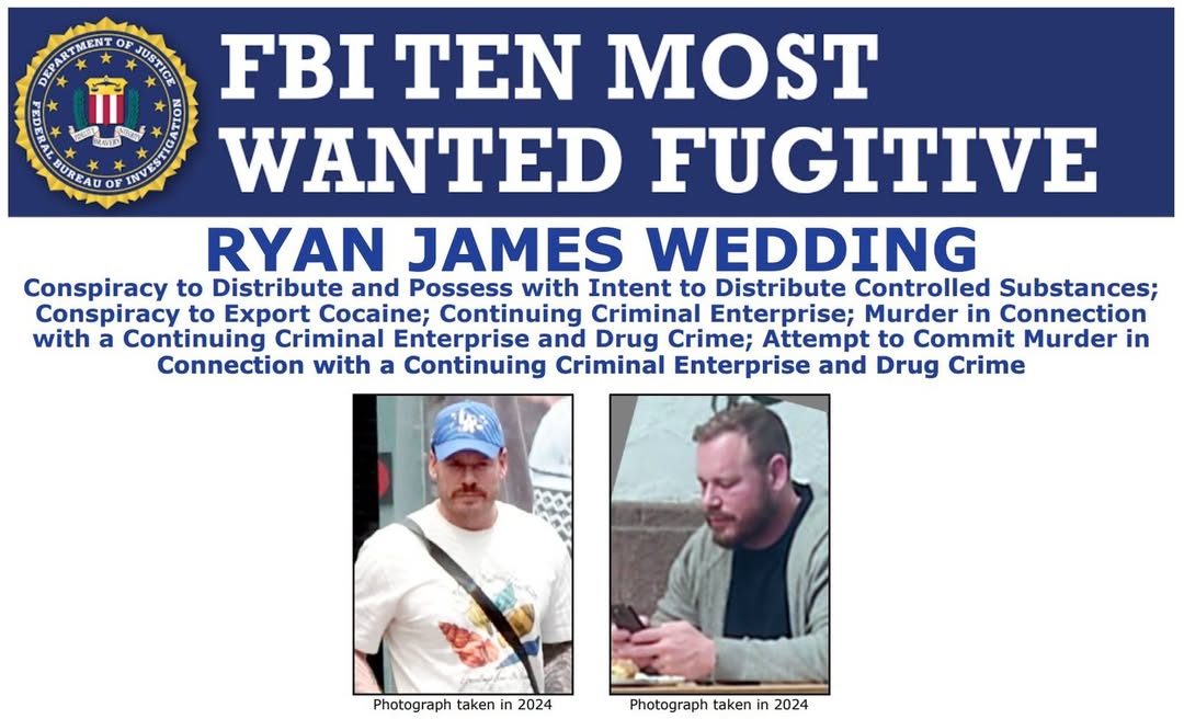 From Olympian To Drug Kingpin: The Fall Of Ryan Wedding Exposes A New ...